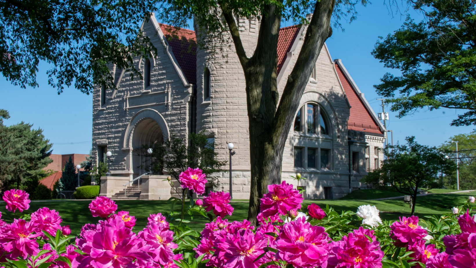 Home | The Brumback Library